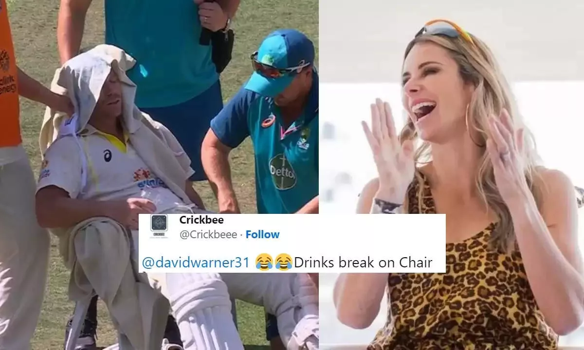 AUS vs SA: Best Memes On David Warner's Viral Picture